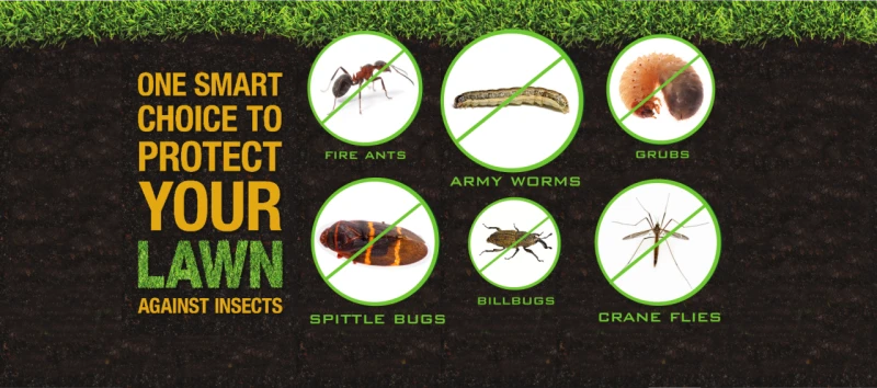 Season-Long Turf Damaging Insect Treatment - TDI