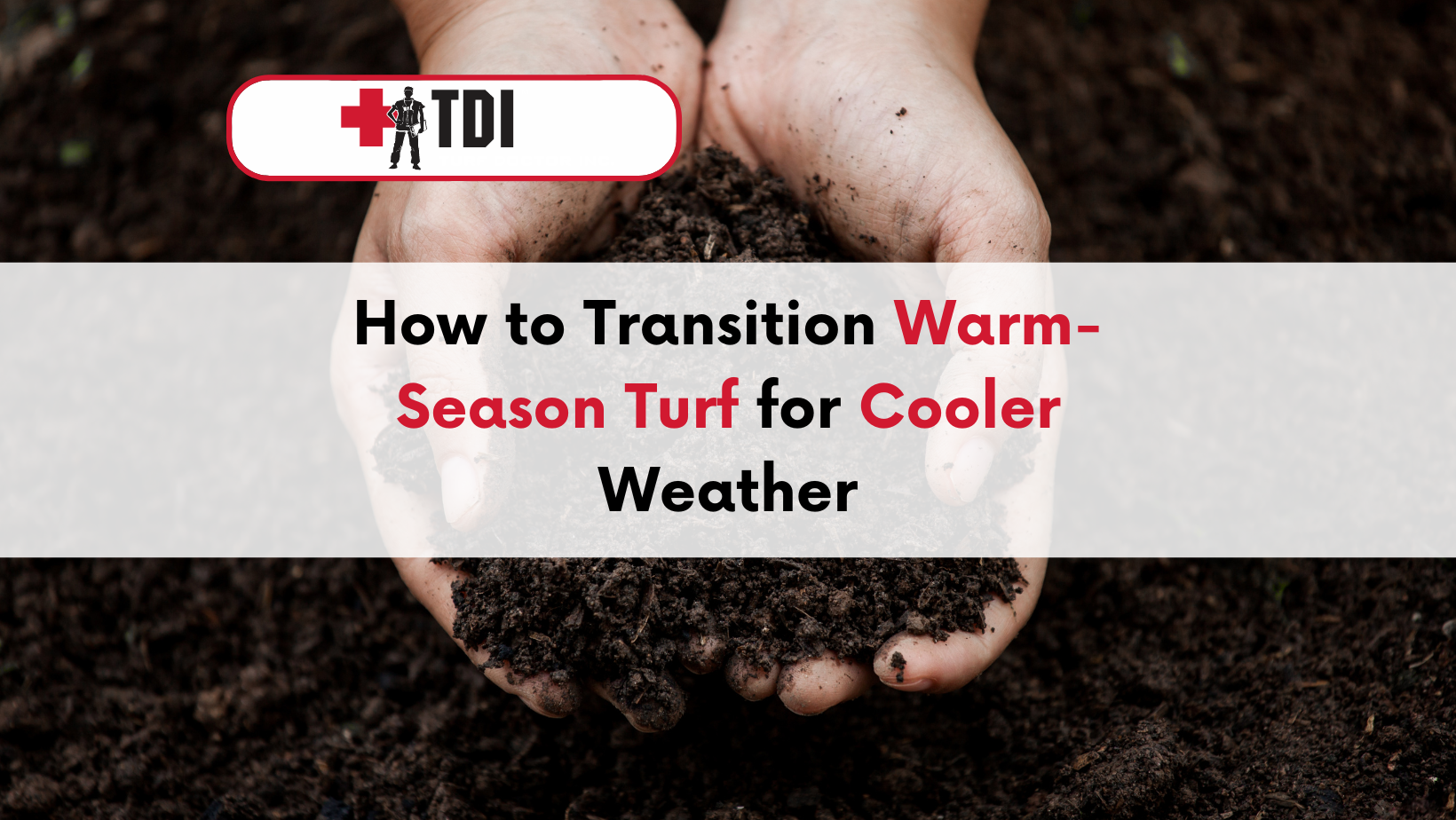 Transition Warm-Season Turf for Cooler Weather - TDI