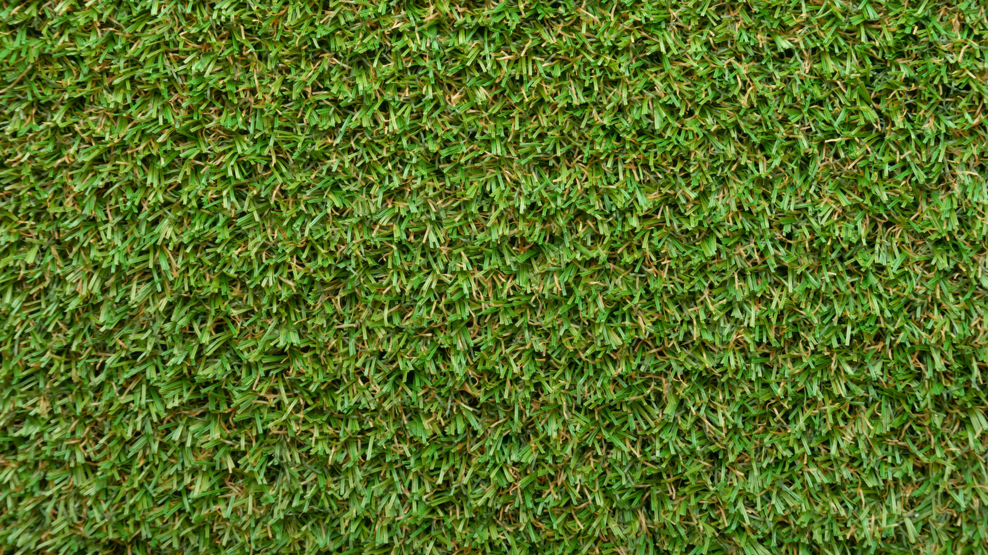 Transition Warm-Season Turf for Cooler Weather - TDI